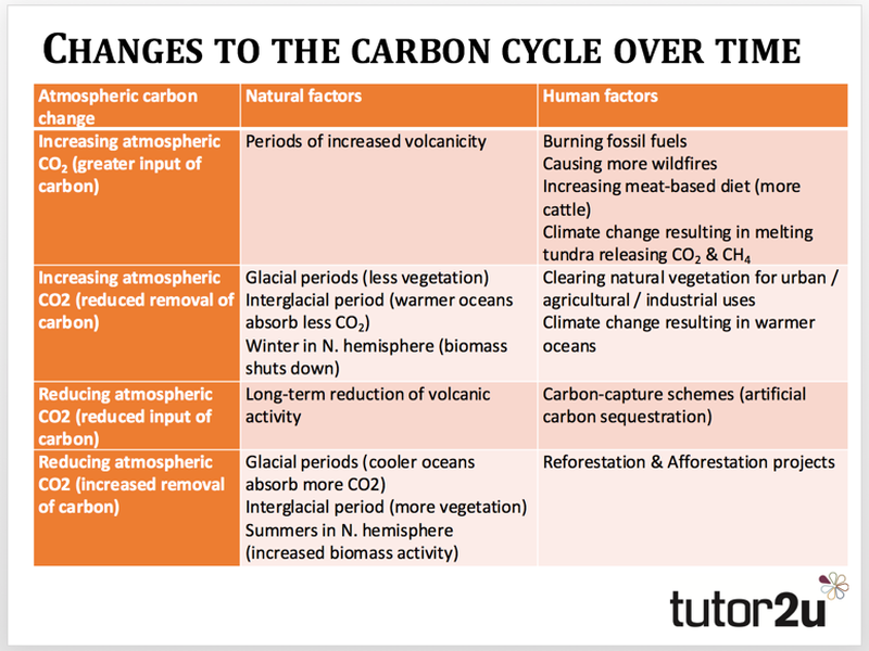 Changes to the carbon cycle over time | Geography | tutor2u