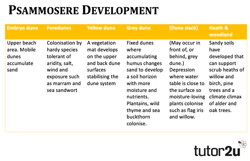 Coastal Systems - Sand Dune Succession: Psammosere Development ...