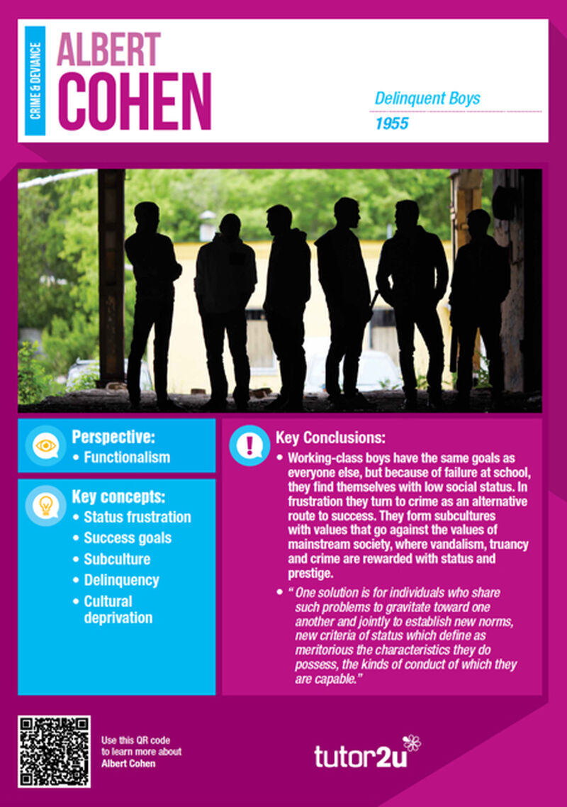 Crime: Classic Texts Classroom Posters for GCSE Sociology | Sociology ...