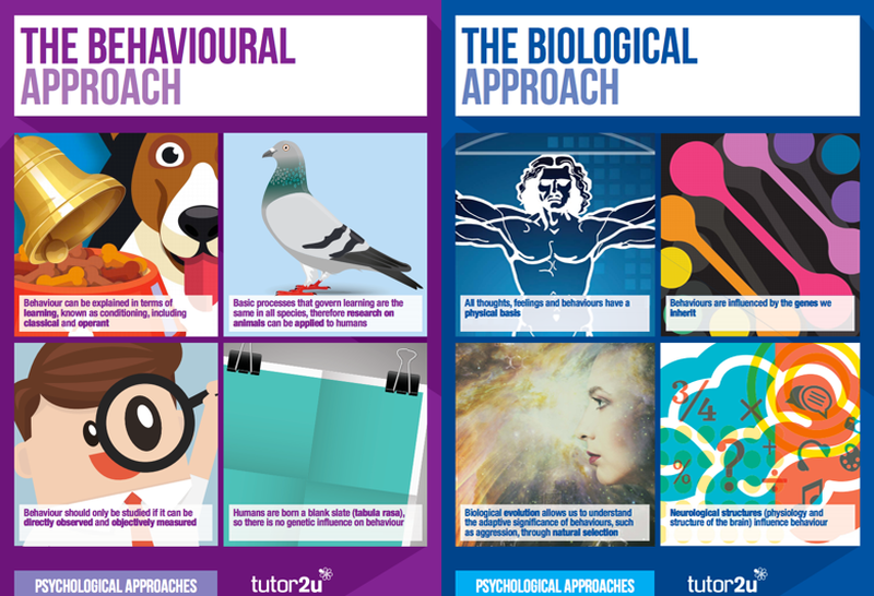 Six Giant Classroom Posters for Psychological Approaches | Psychology ...